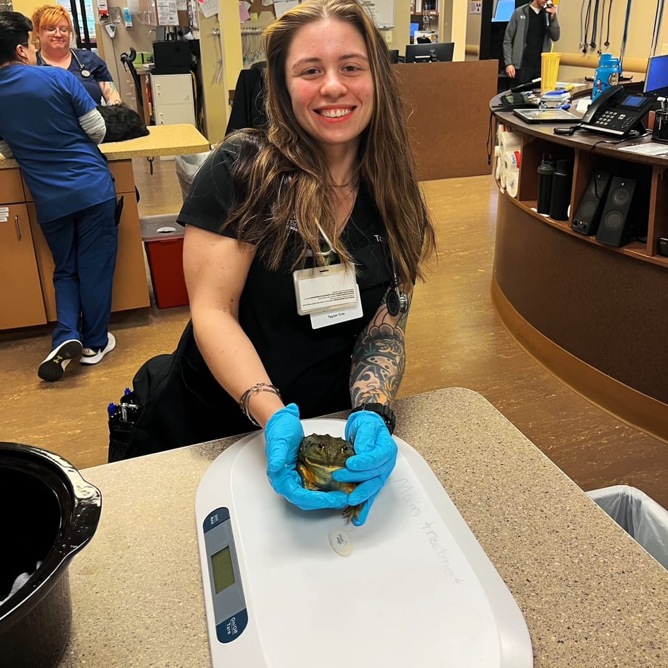 Book Services in Fort Worth, TX with Taylor C (TAYLOR26097)
