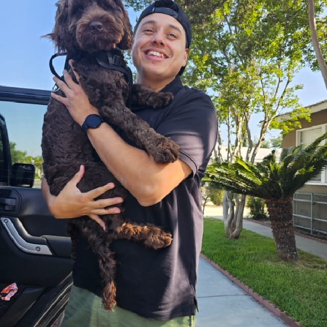 Book Services in Arcadia, CA with Brian P (BRIAN412644)