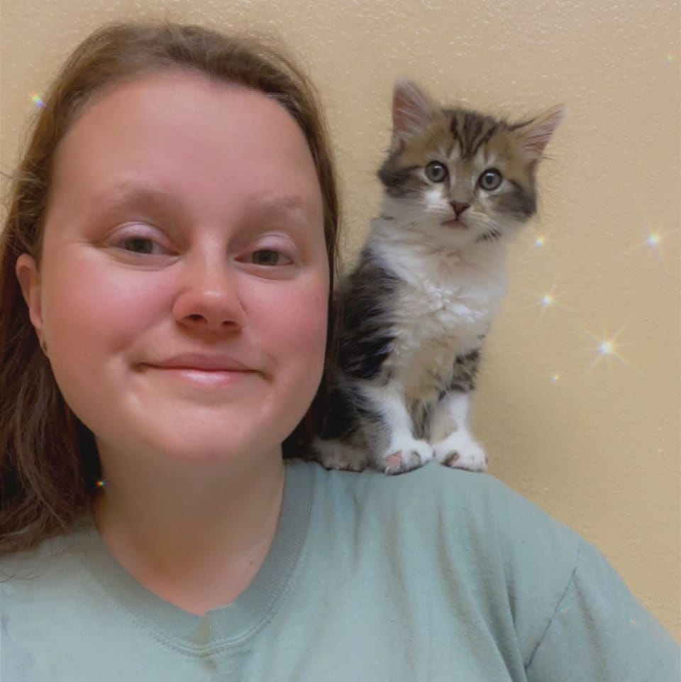 Book Services in Fort Wayne, IN with Alexandra B (ALEXANDRA44969)