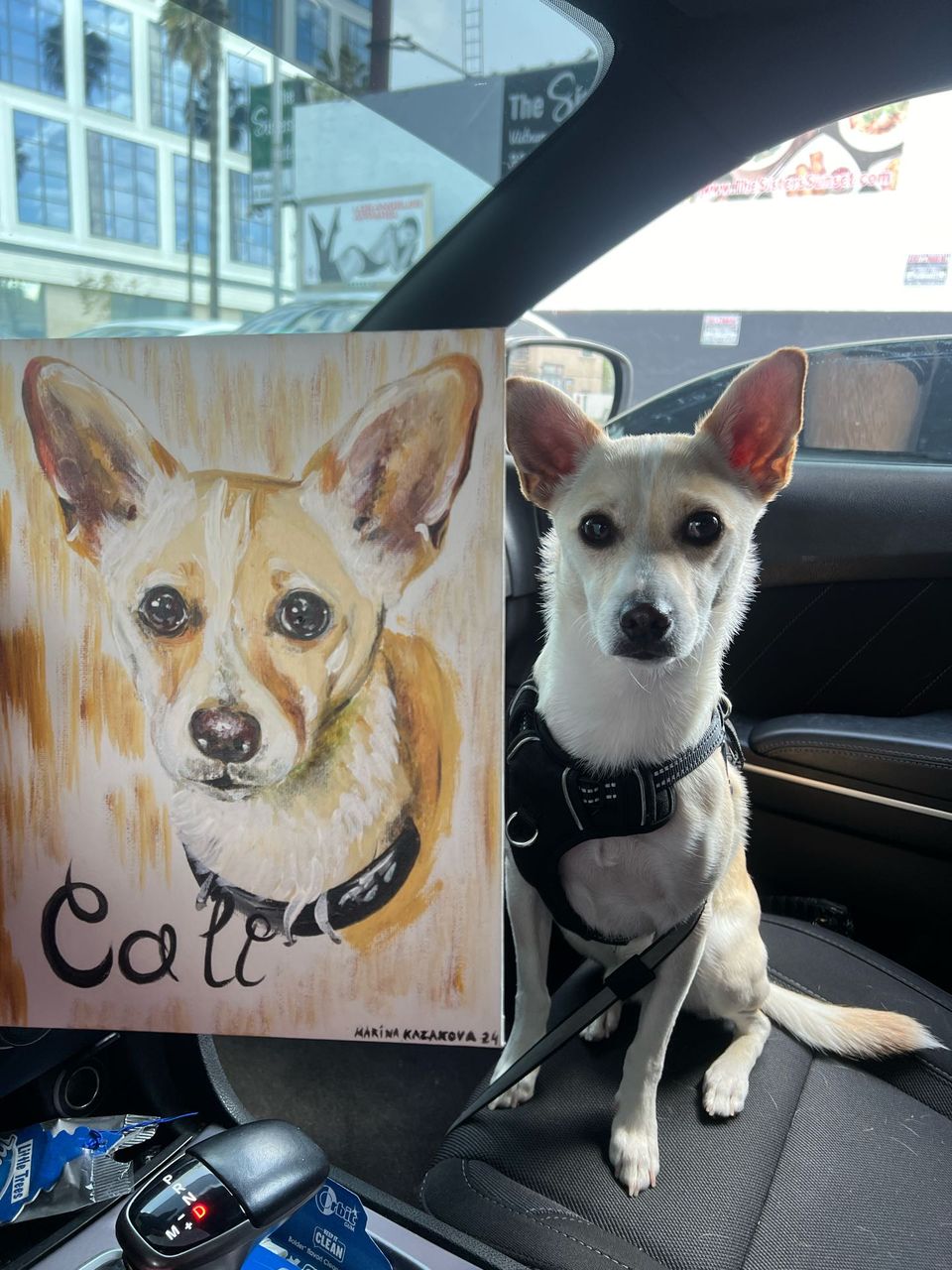 Best Dog Walkers in Los Angeles, CA | Wag!