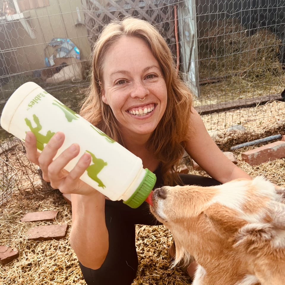 Book Services in Long Beach, CA with Jenna B (JENNA79620)