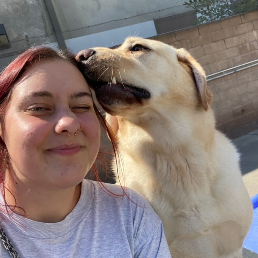 Book Services in Citrus Heights, CA with Piper F (PIPER87252)