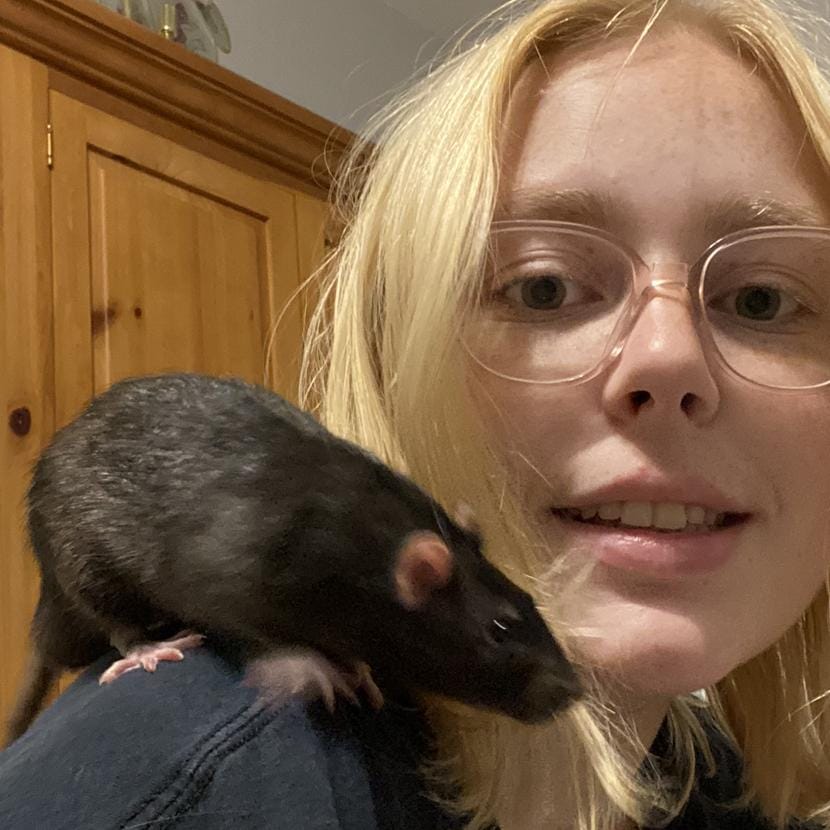 Book Services in Chicago, IL with Kayleigh R (KAYLEIGH27806)