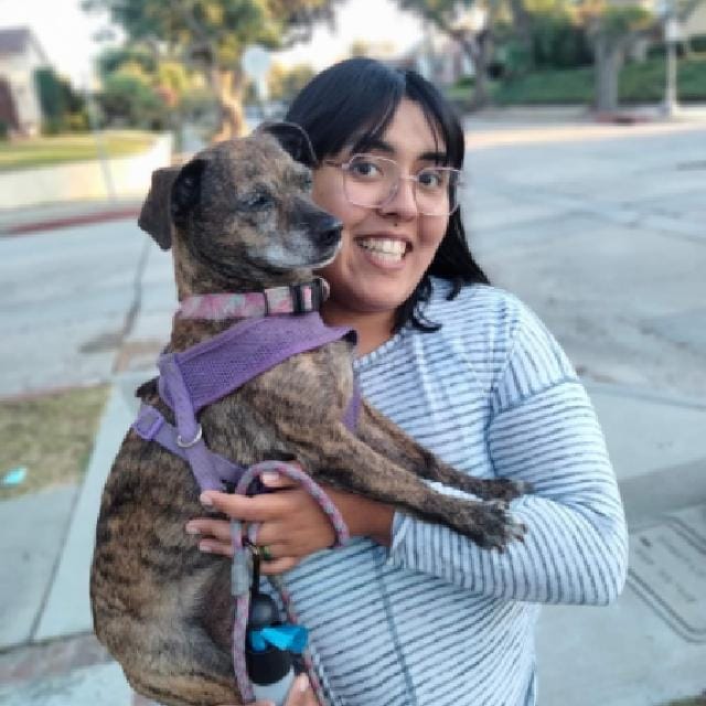 Book Services in Long Beach, CA with Denise R (DENISE44447)