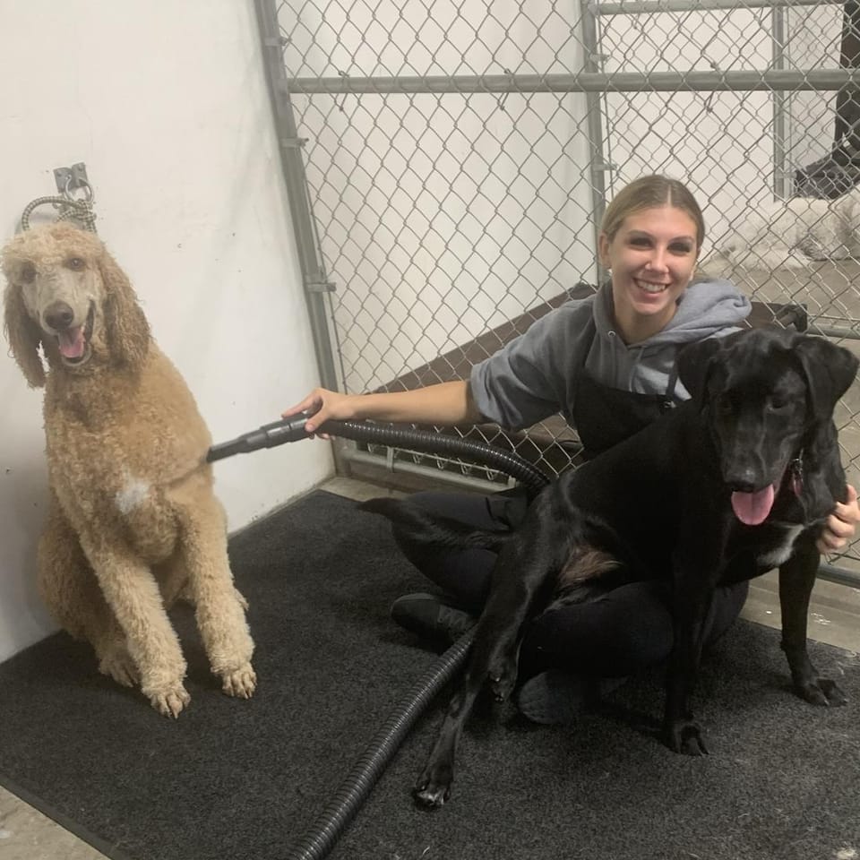 Book Services in Rohnert Park, CA with Sierra R (SIERRA50650)