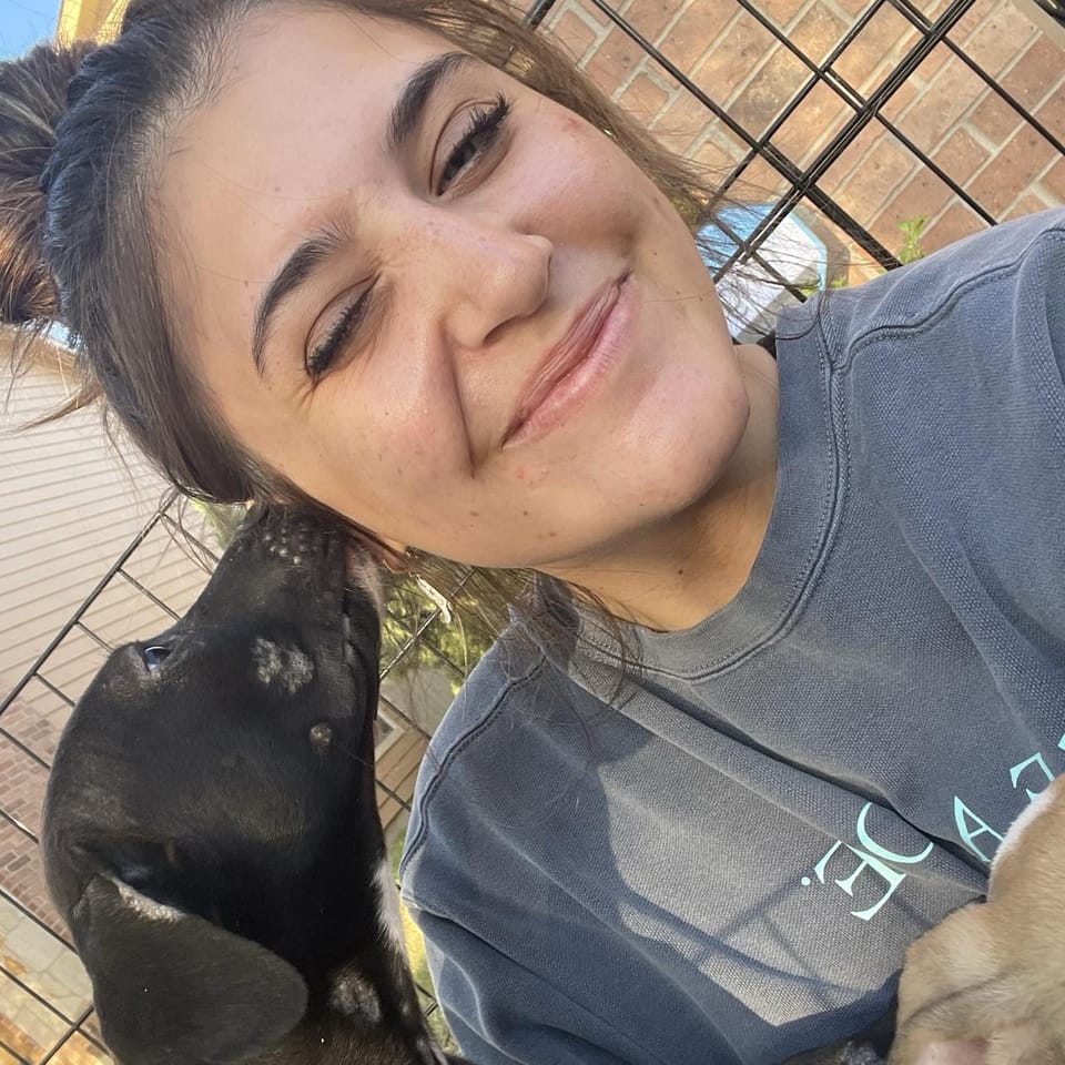 Book Services in Fayetteville, AR with Aiden H (AIDEN15781)