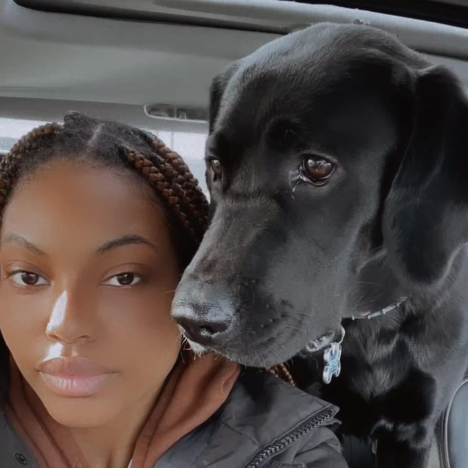 Book Services in Randolph, MA with Natalie G (NATALIE30258)