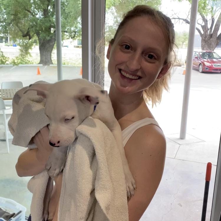 Book Services in Dallas, TX with Avery Y (AVERY16759)